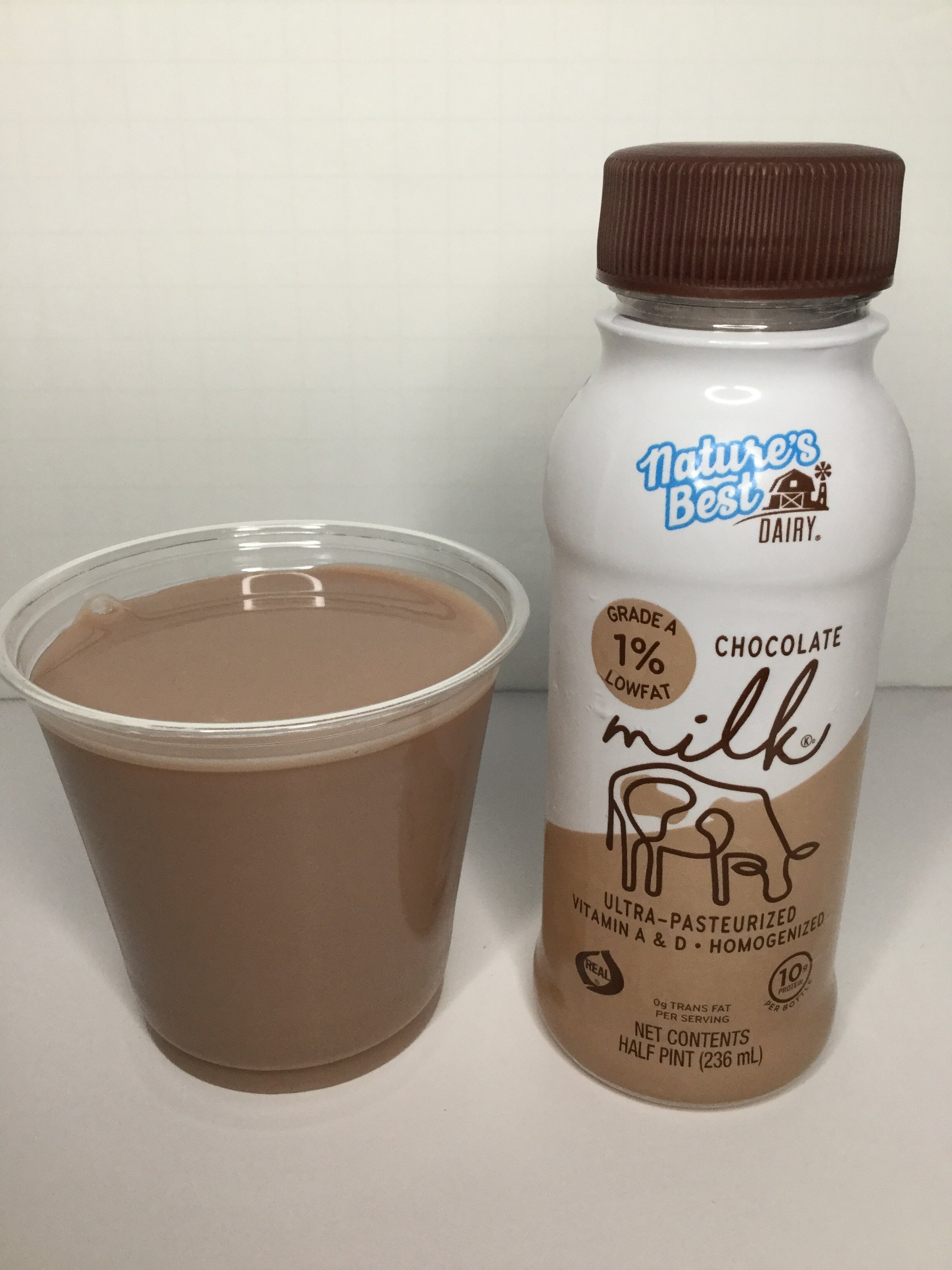 Nature's Best Dairy Lowfat Chocolate Milk — Chocolate Milk Reviews