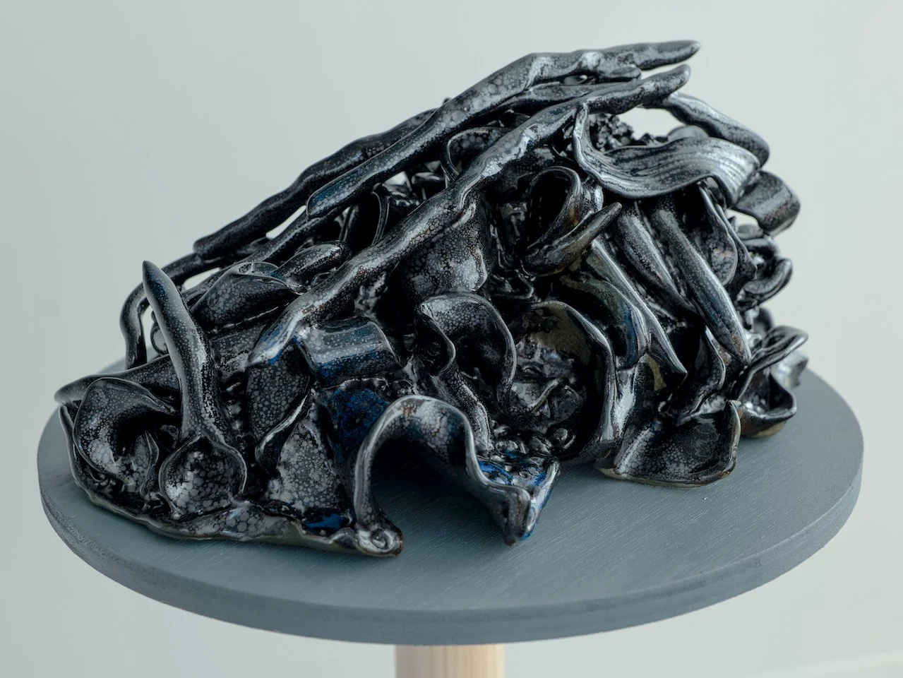 Ewelina Skowronska visual artist