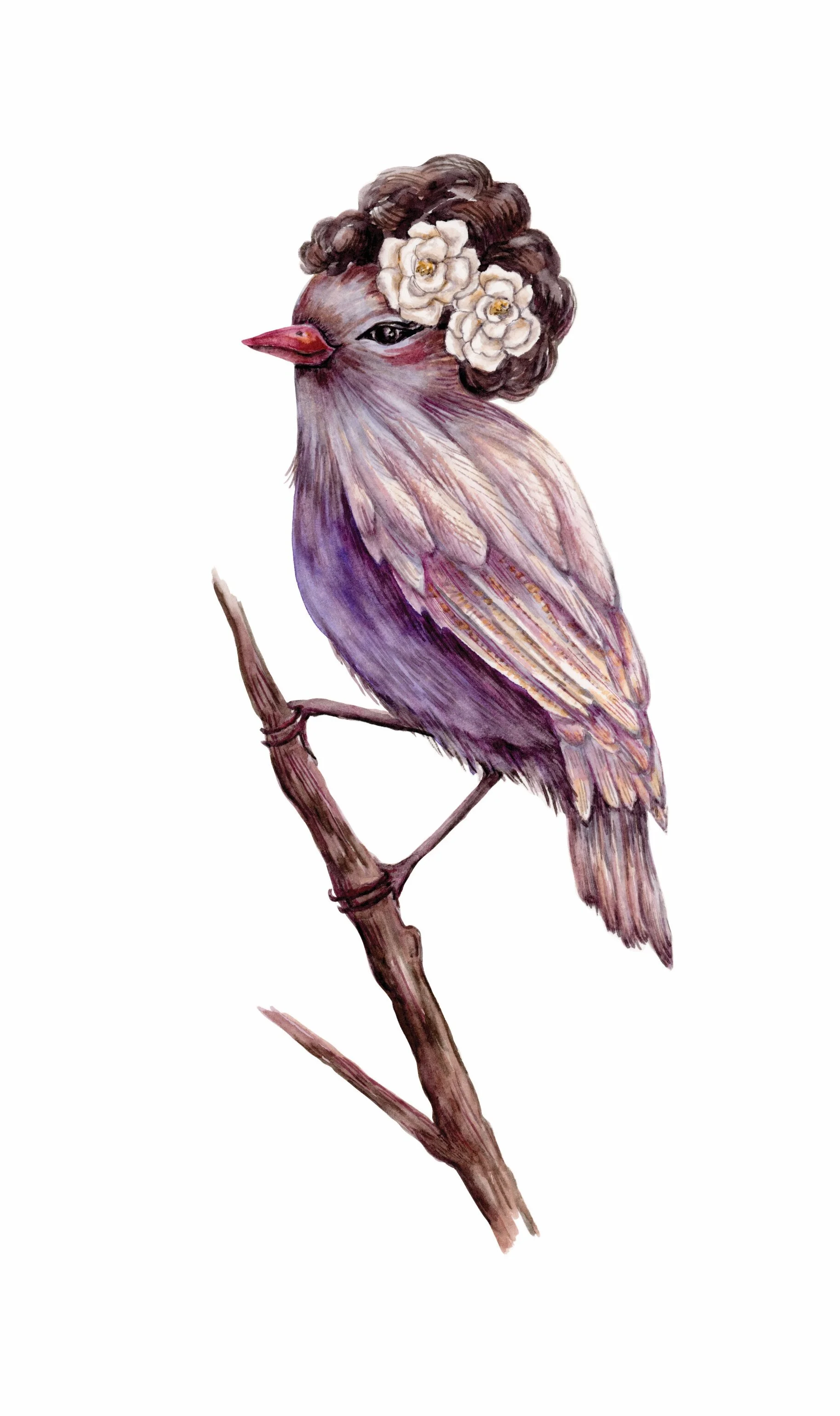 Birds With Wigs — Rachael Walker Studio