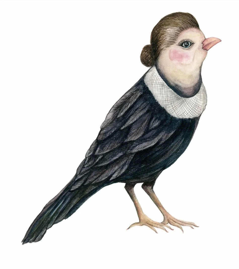 Birds With Wigs — Rachael Walker Studio
