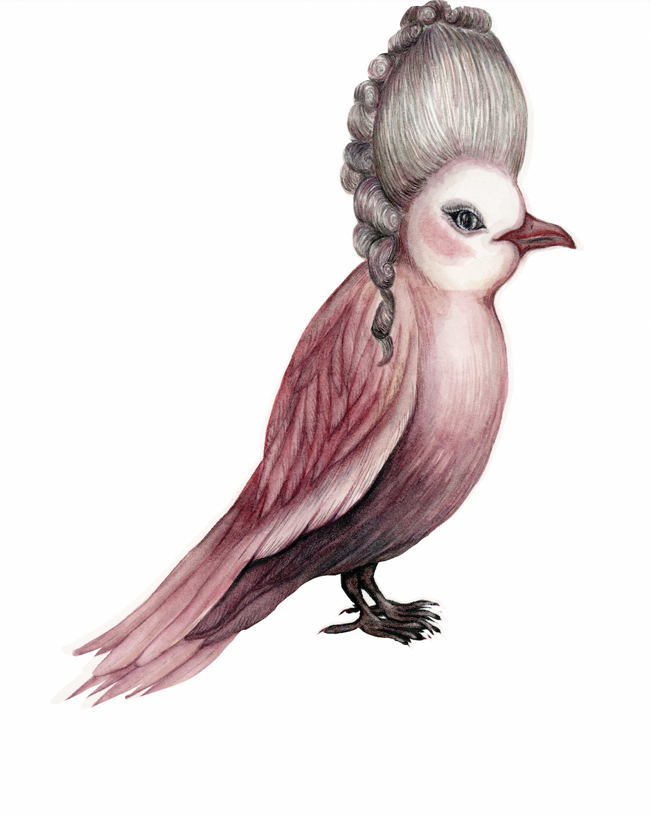 Birds With Wigs — Rachael Walker Studio