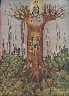 Tree of Life & World Tree Iconography — AllCreation.org