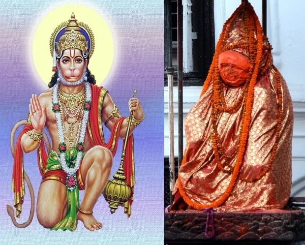 Sacred Hindu Animals — AllCreation.org