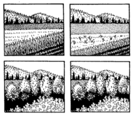 Biodiversity and the Bible (Dr. Calvin DeWitt) — AllCreation.org