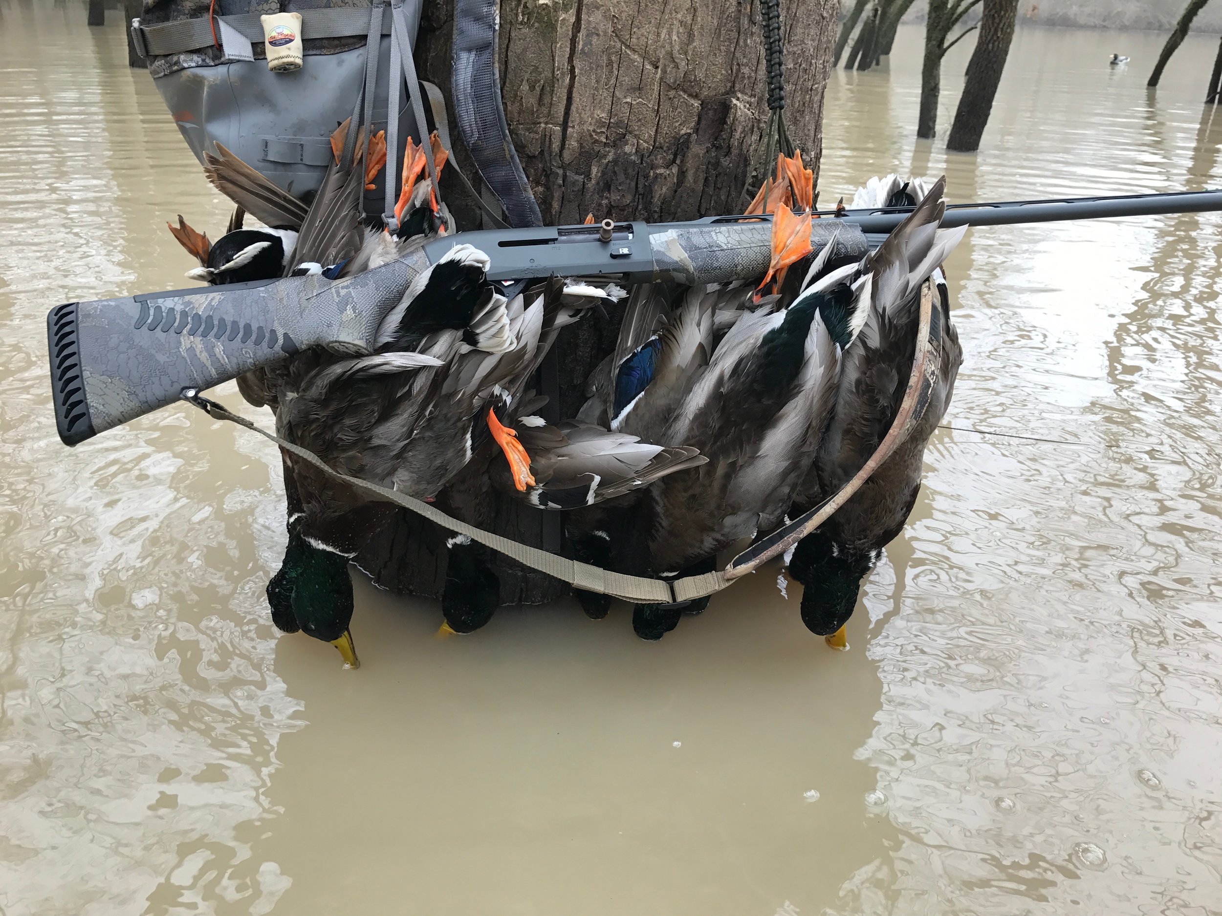 PHOTOS — Rob Roberts Custom Gun Works