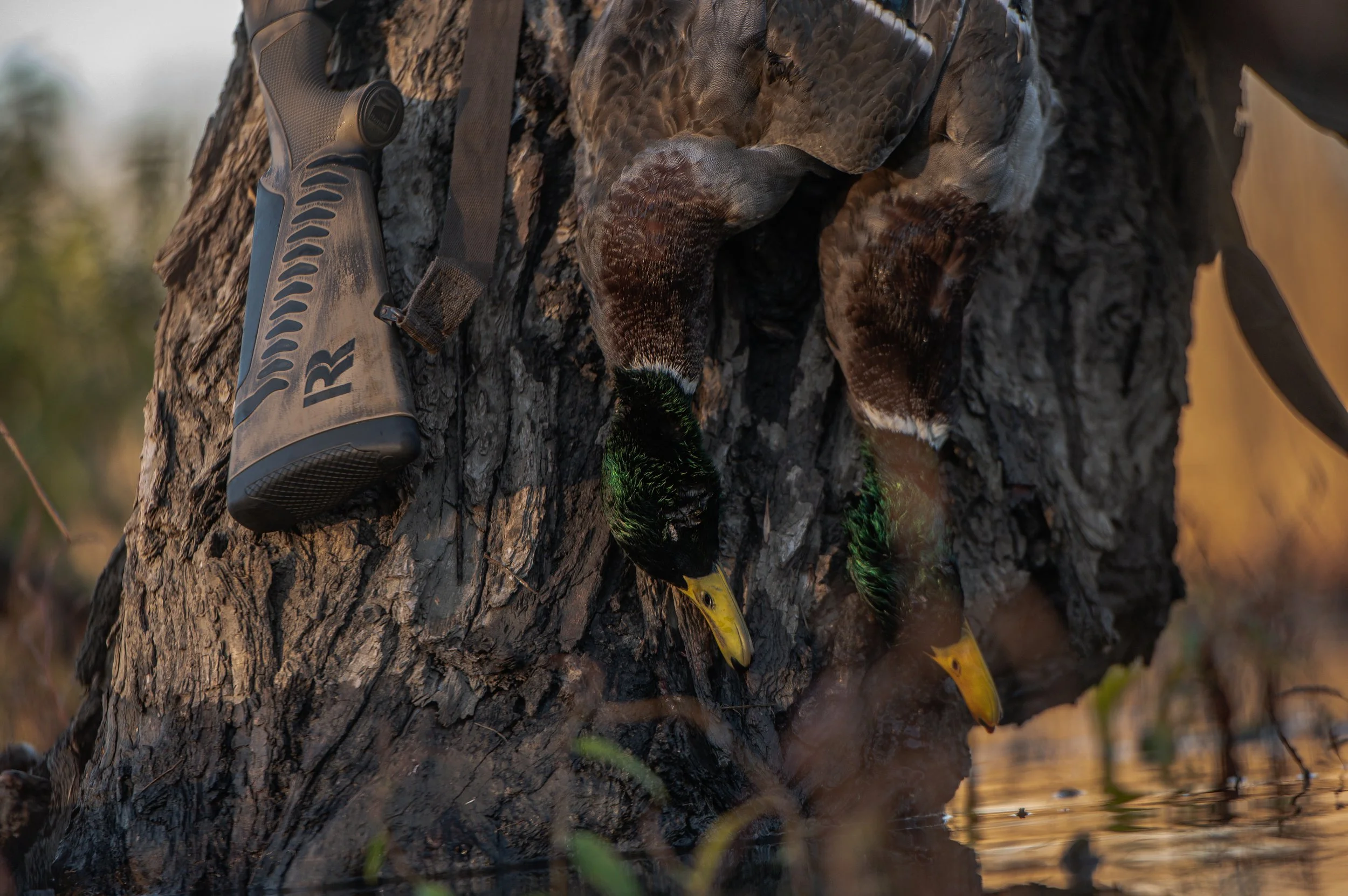 Rob Roberts Custom Gun Works