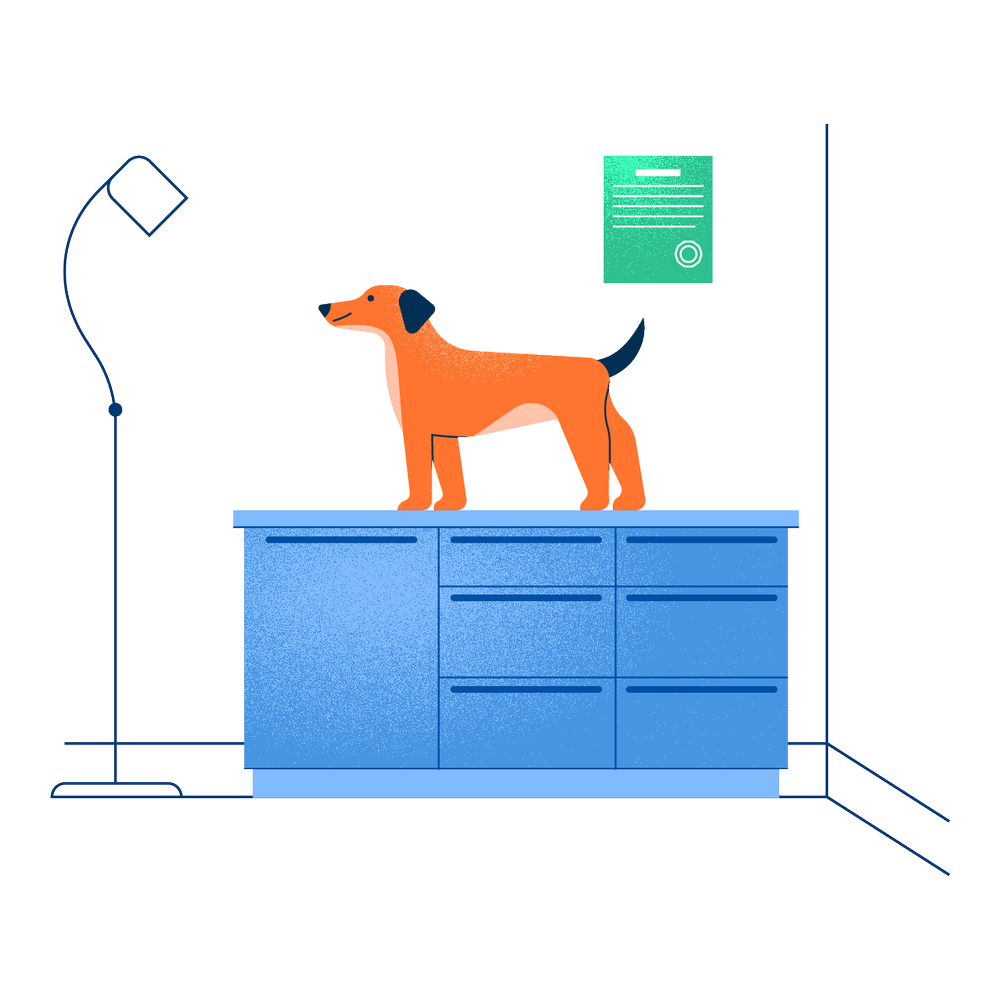 Medequip — Trace Medical