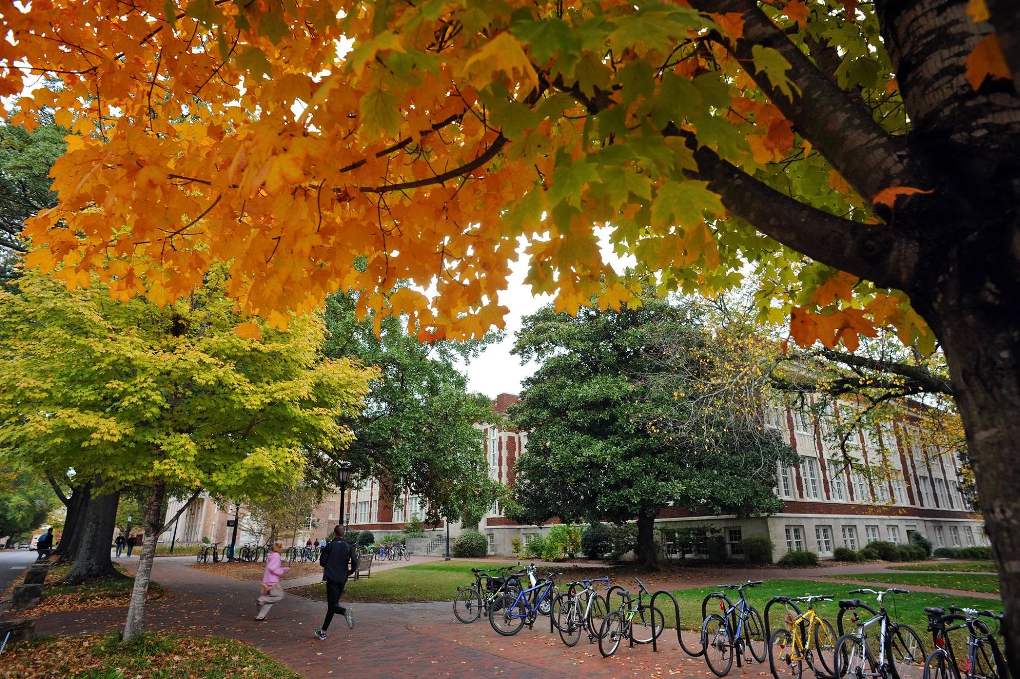 A Guide to the best Hotels and Restaurants near University of North ...