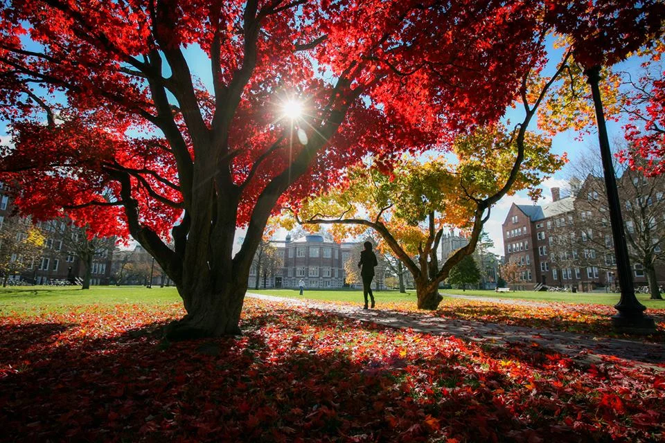 Vassar College — Daytripper University