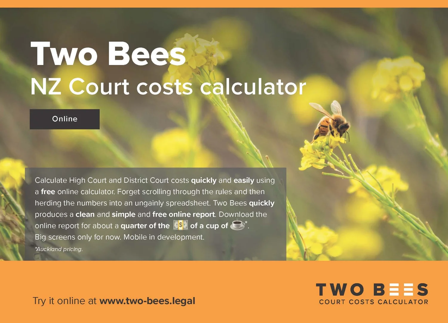 Court costs calculator — Steve Keall