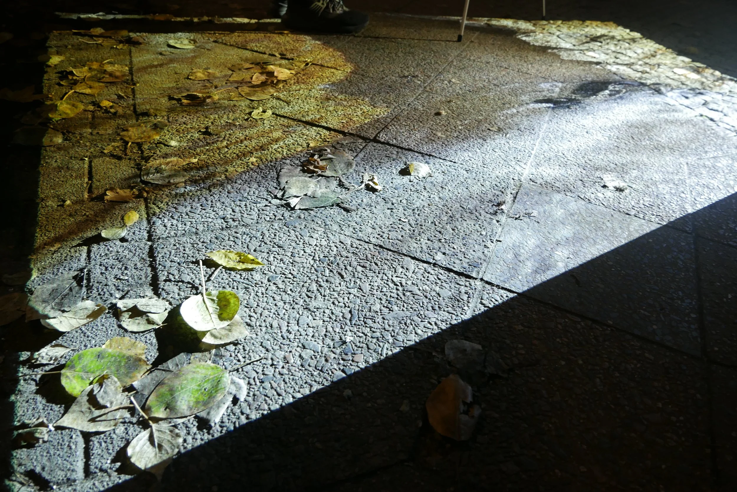 Sea cave transmogrification-iii — Julia Edith Rigby