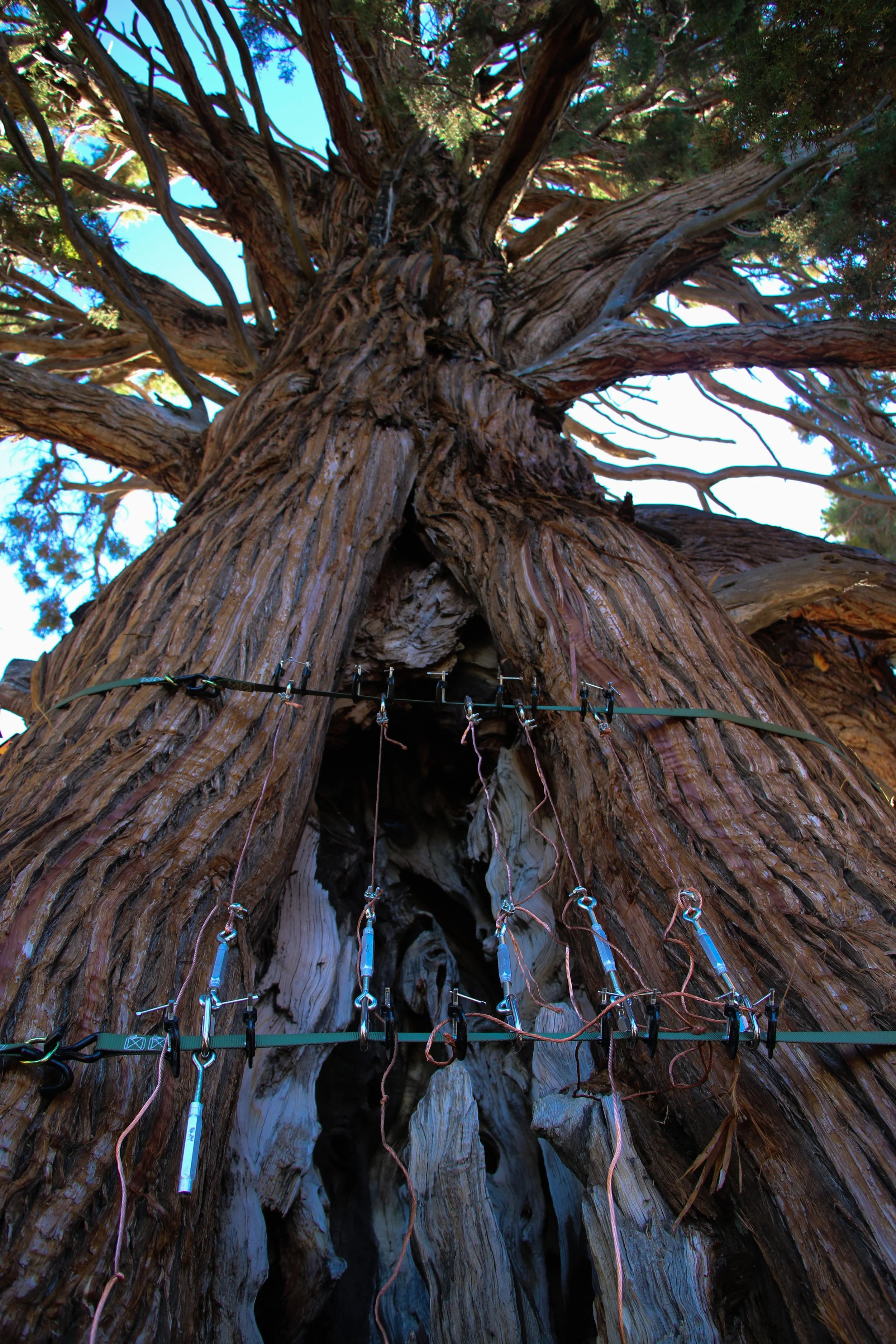 work — Julia Edith Rigby