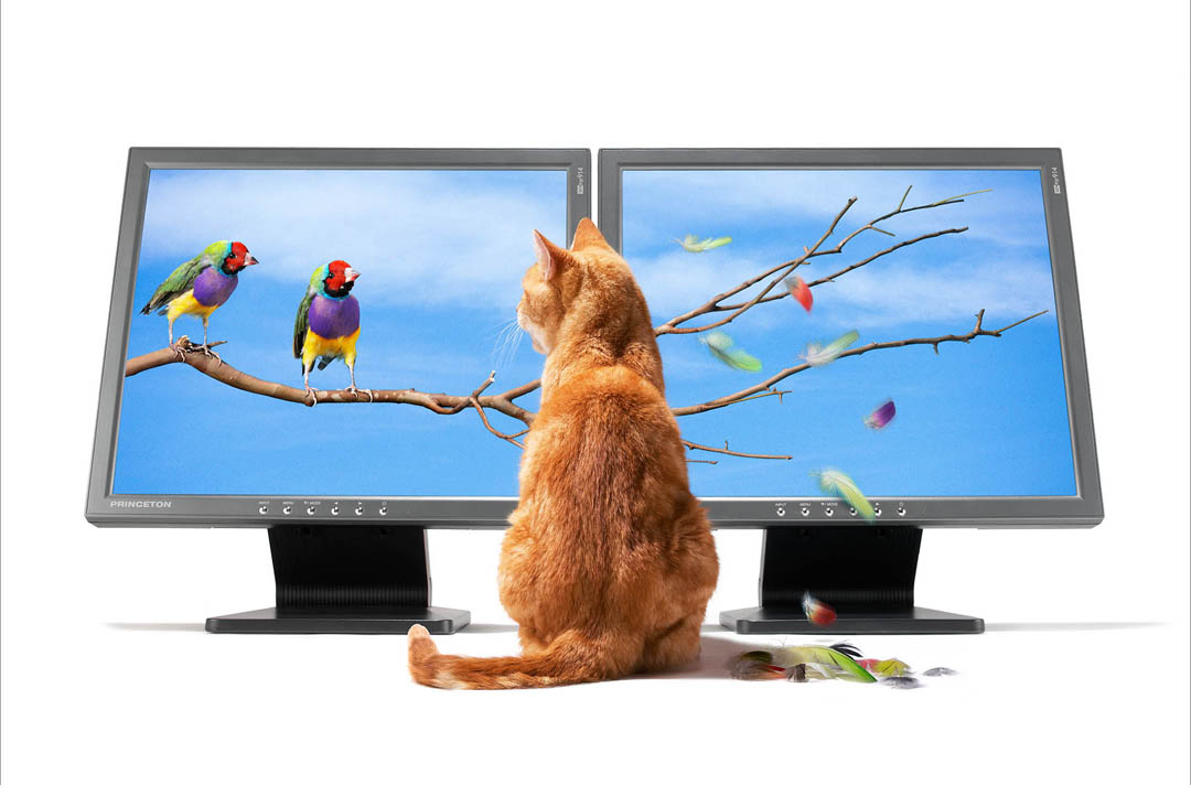 Product/Adv 2 — Peter Figen Photography