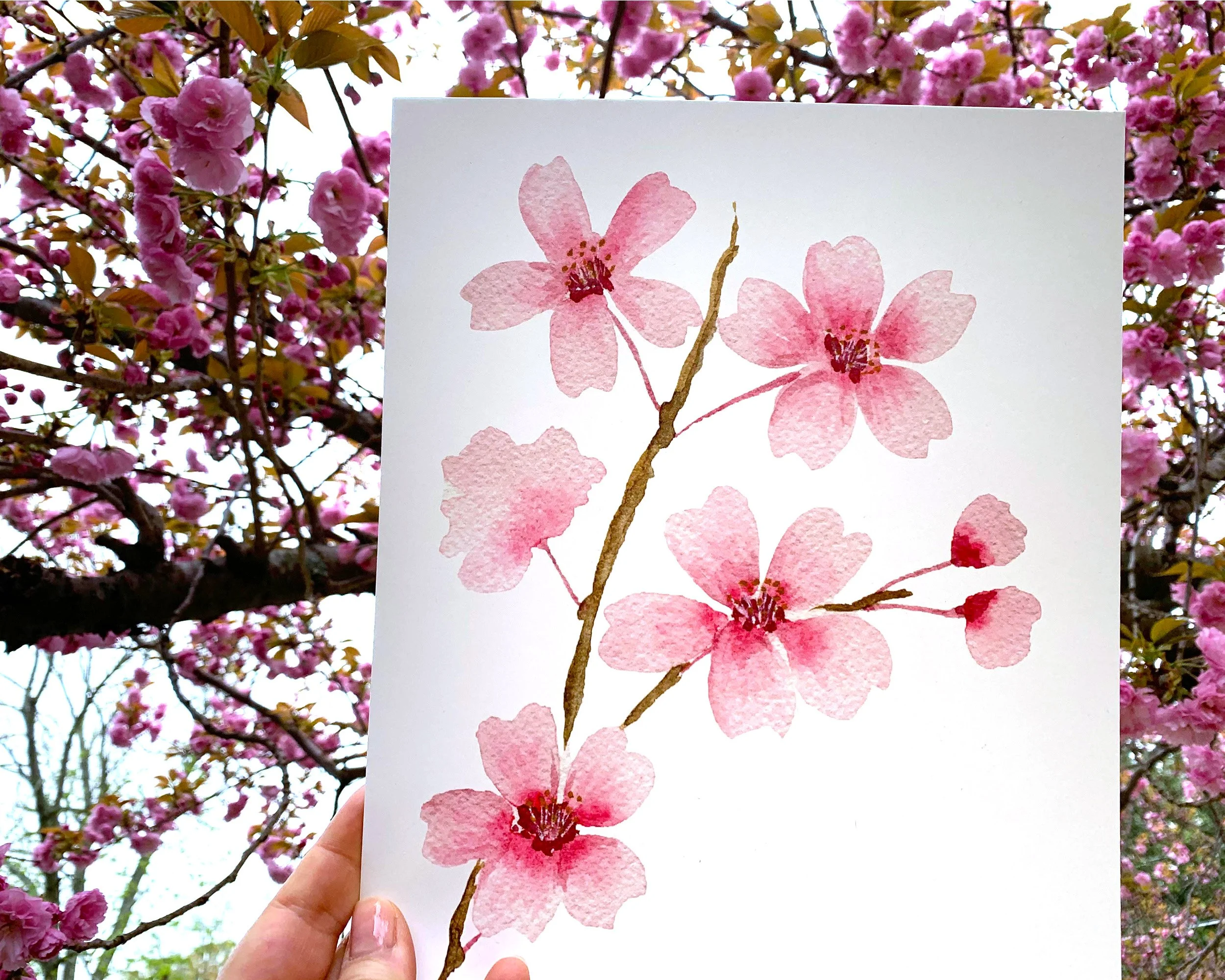 Cherry Blossom Flower Art