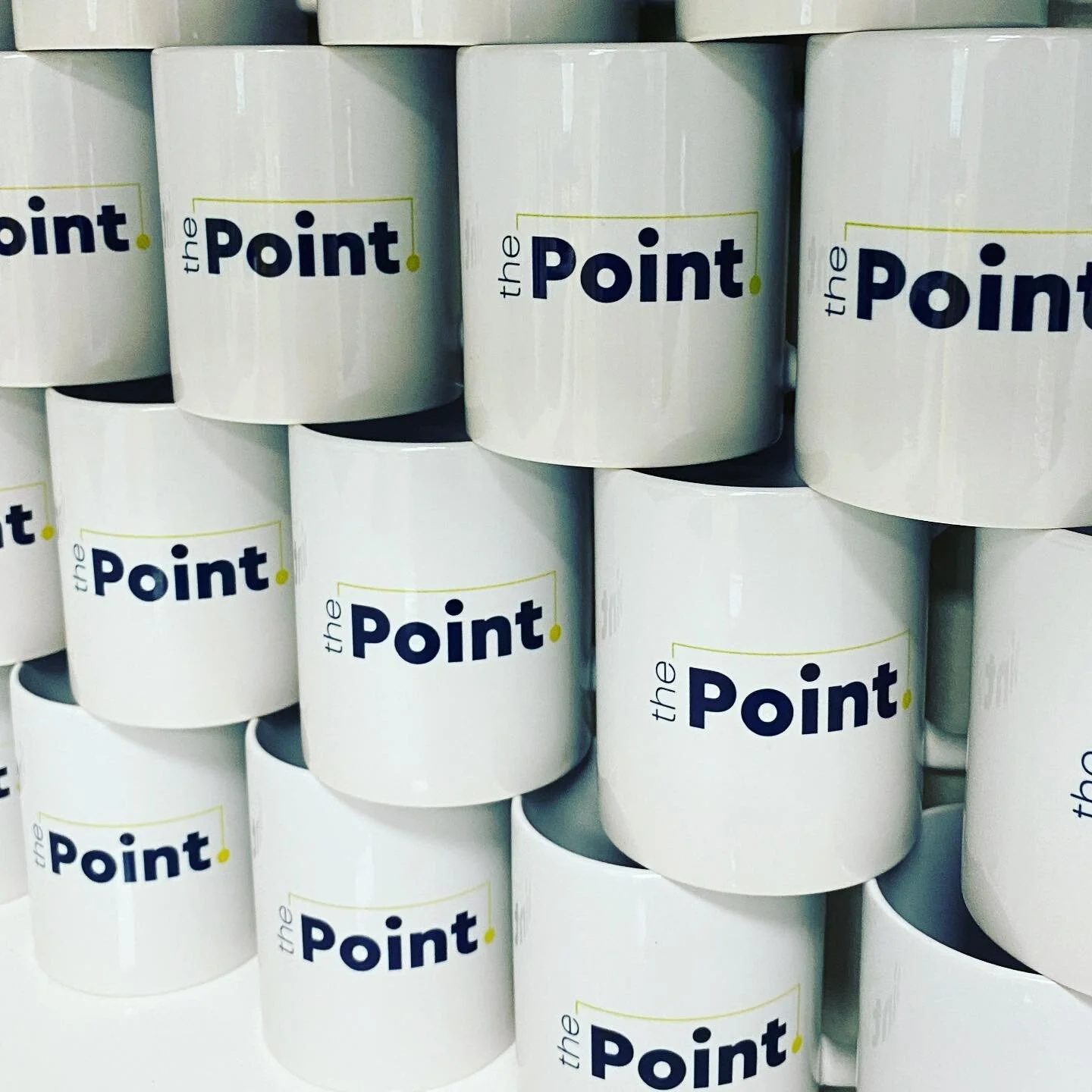 Flying Point Foundation for Autism