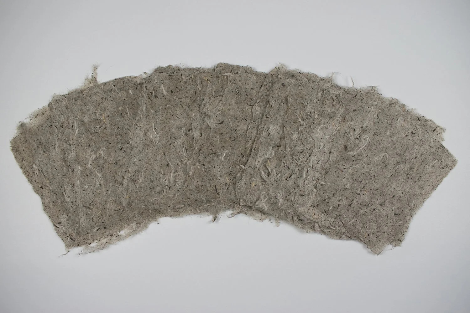 How are Paper Made with Plants — Jackie Partridge