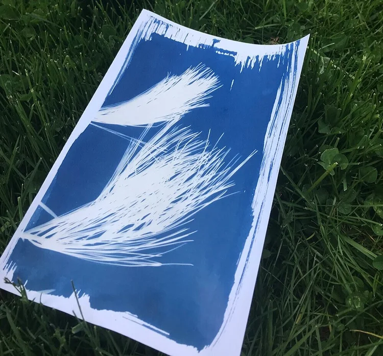 How to Make Cyanotypes — Jackie Partridge