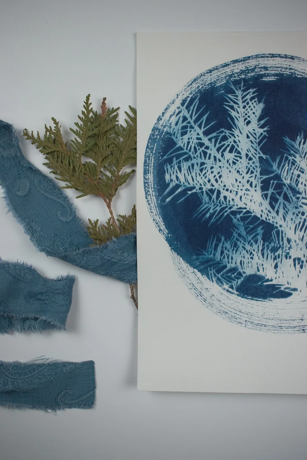Pine Cyanotype 1 — Jackie Partridge