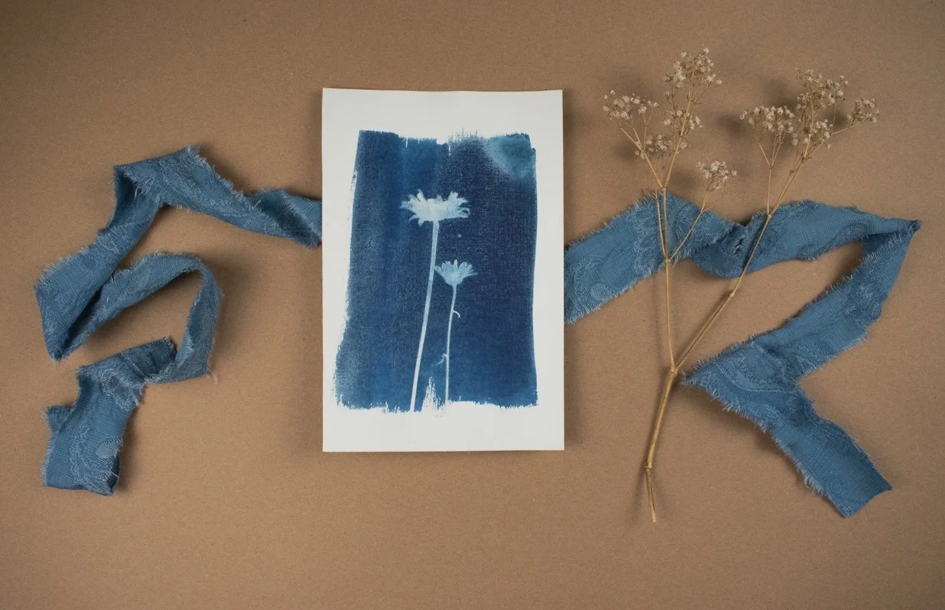 Daisy Cyanotype 1 — Jackie Partridge