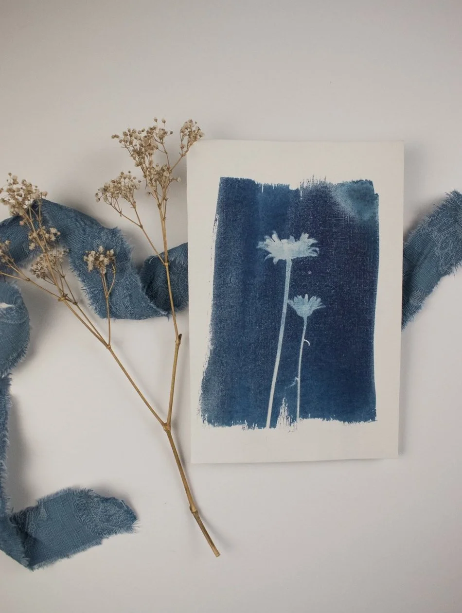Daisy Cyanotype 1 — Jackie Partridge