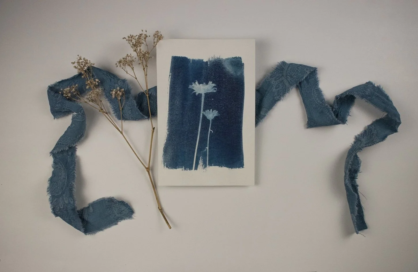 Daisy Cyanotype 1 — Jackie Partridge
