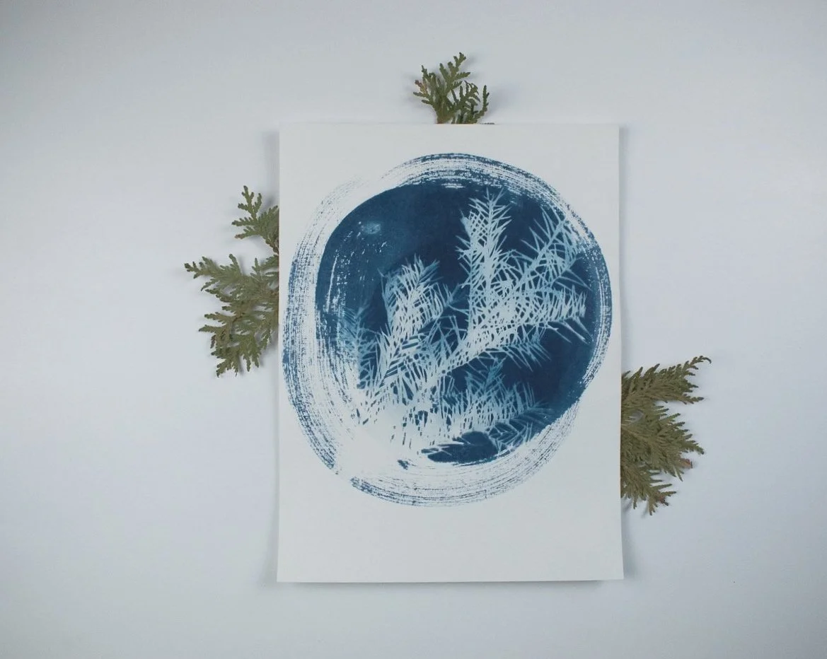 Pine Cyanotype 1 — Jackie Partridge
