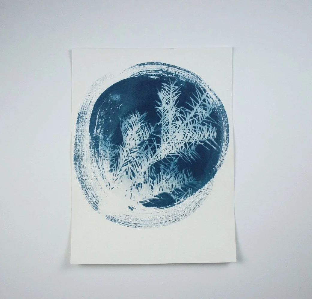 Pine Cyanotype 1 — Jackie Partridge