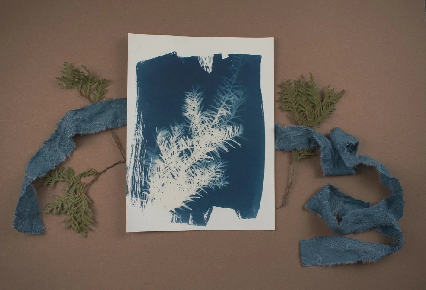 Pine Cyanotype 3 — Jackie Partridge