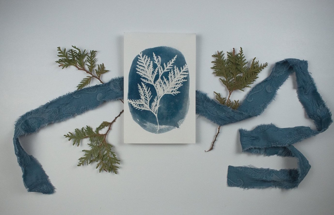 Cedar Cyanotype 1 — Jackie Partridge