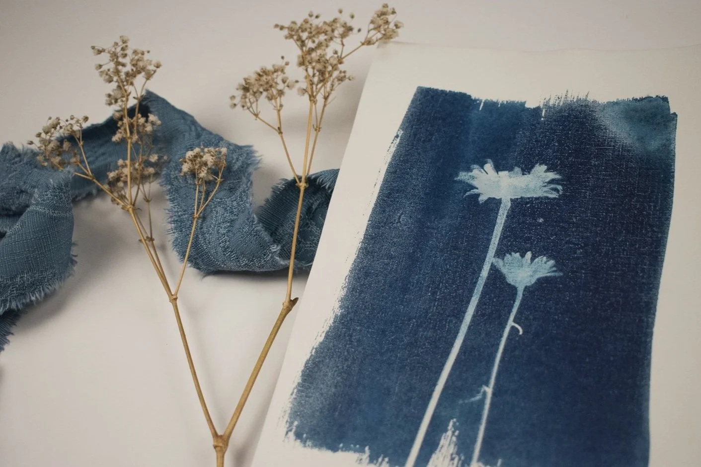 News/Blog-Jackie Partridge — Jackie Partridge