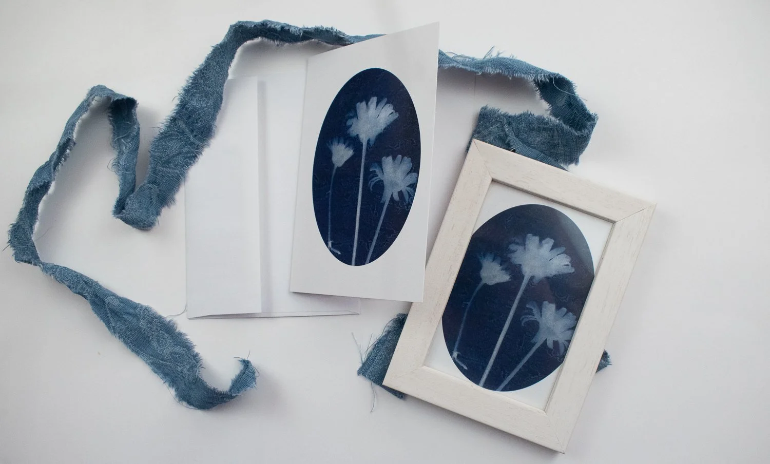 Daisy Cyanotype Cards — Jackie Partridge