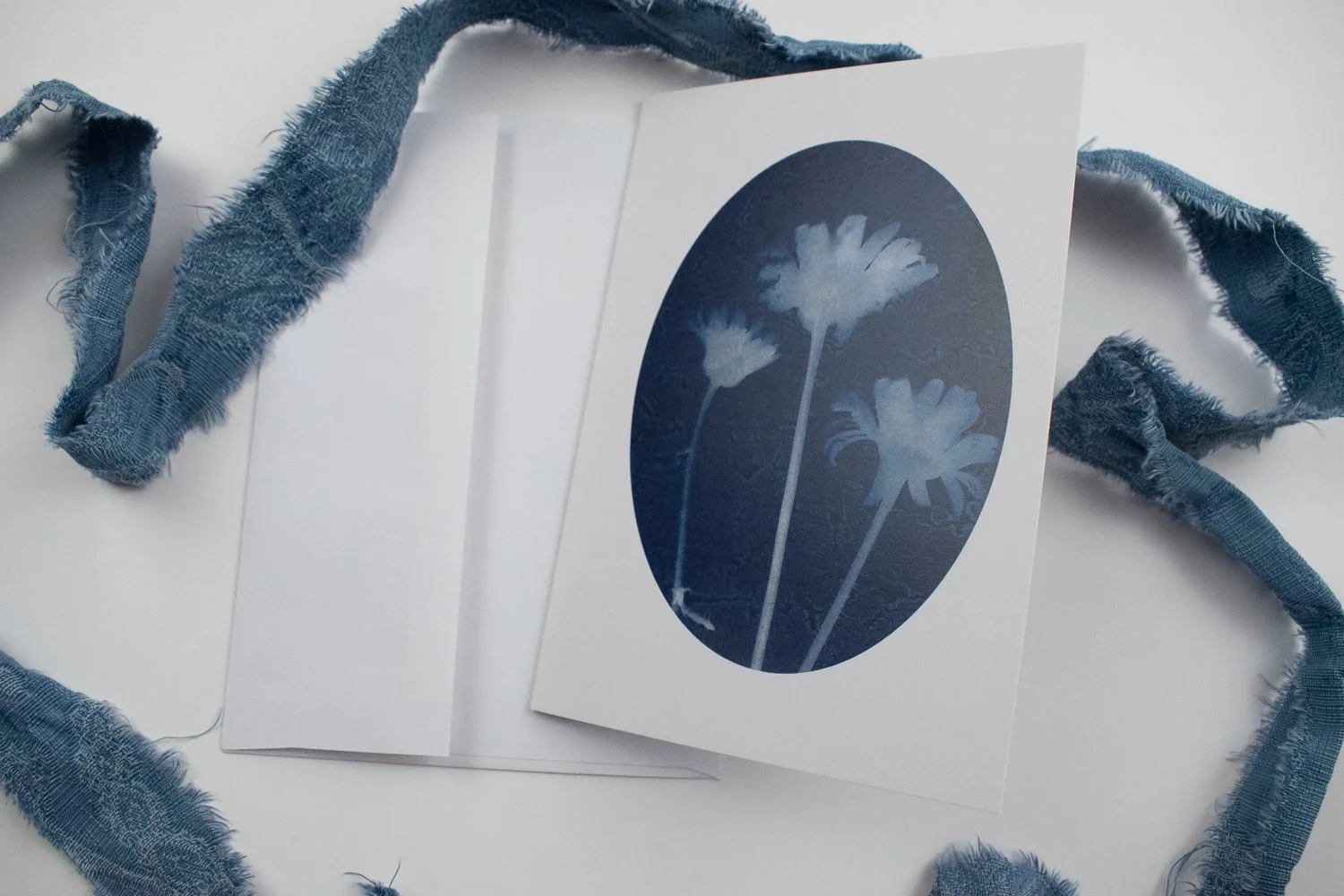 Daisy Cyanotype Cards — Jackie Partridge