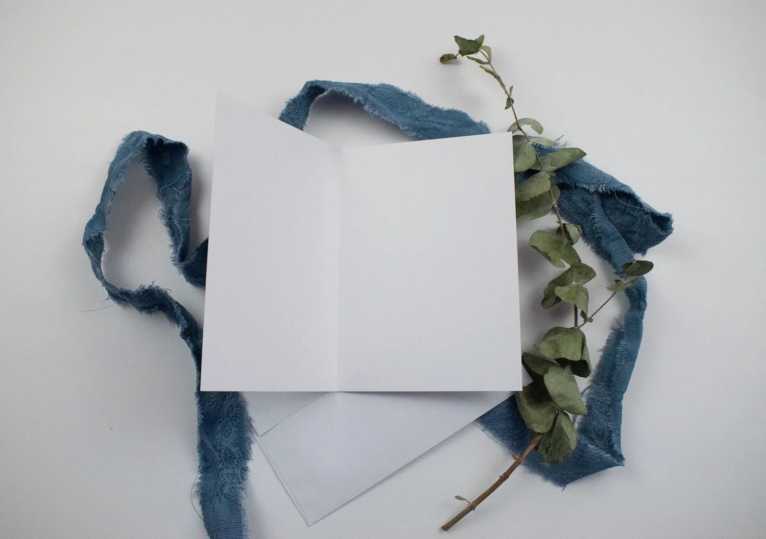 Daisy Cyanotype Cards — Jackie Partridge