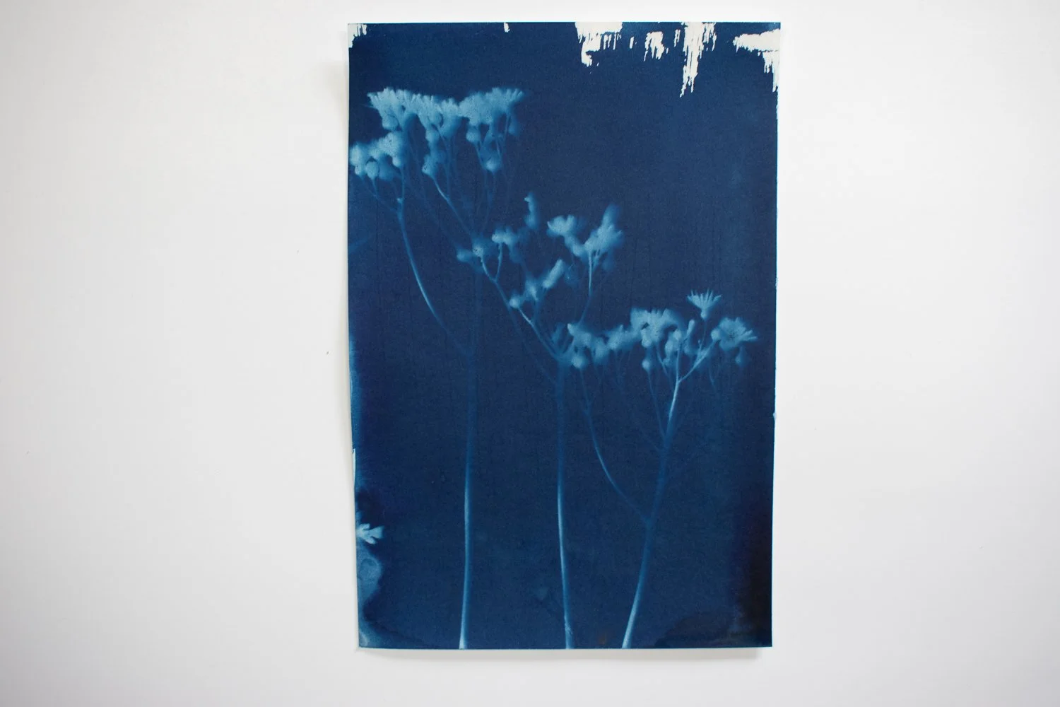 News/Blog-Jackie Partridge — Jackie Partridge