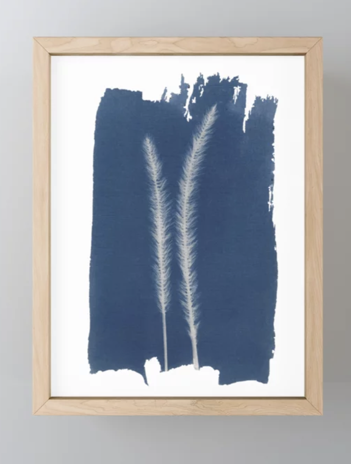 How to Frame Cyanotypes — Jackie Partridge