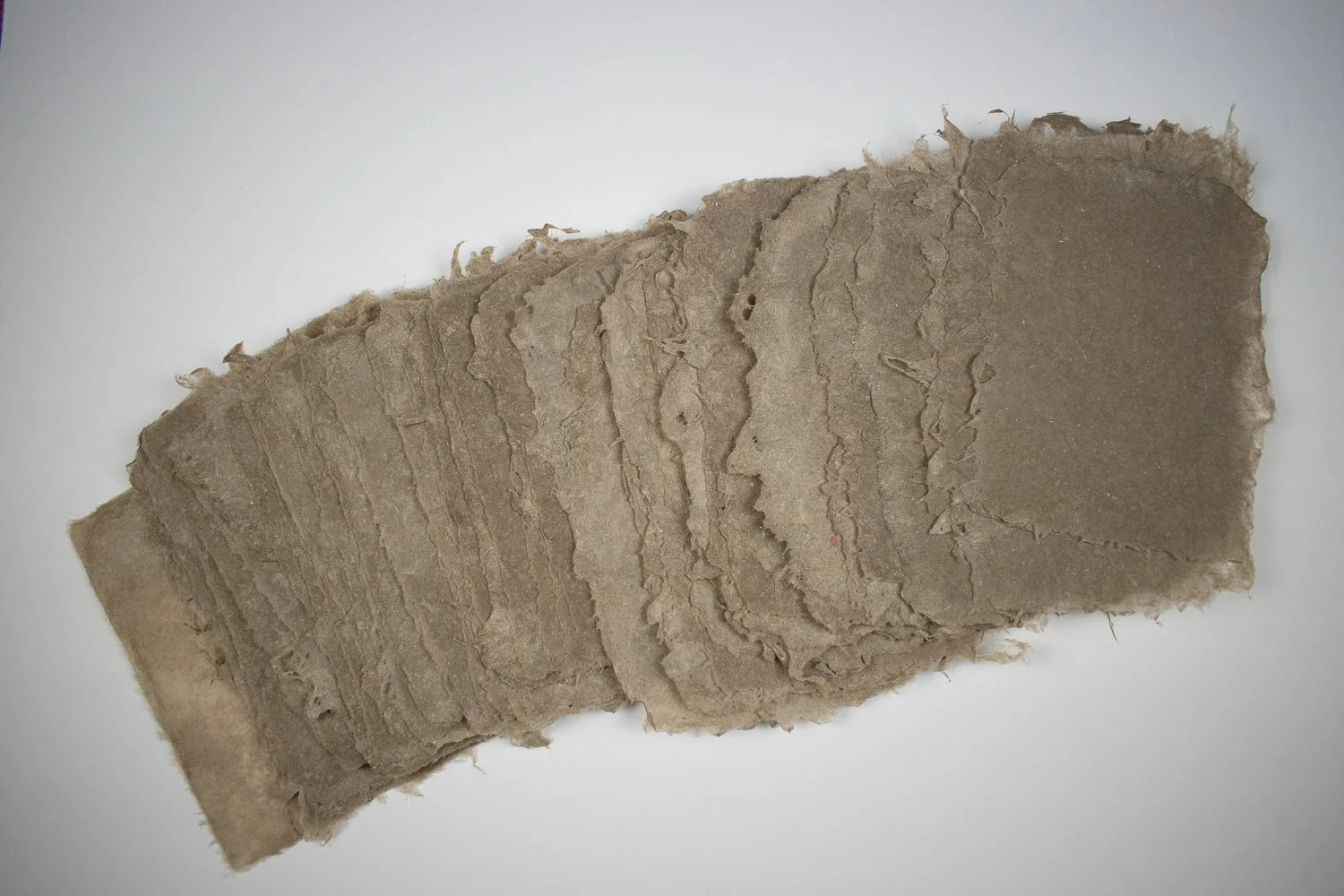 How are Paper Made with Plants — Jackie Partridge