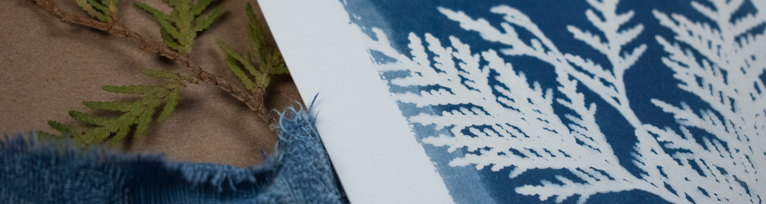 Original Art and Art Prints by Jackie Partridge — Jackie Partridge