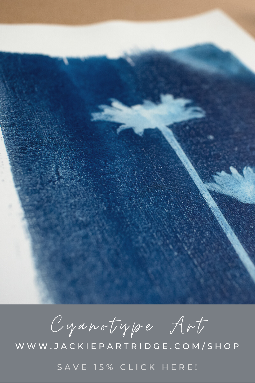 News/Blog-Jackie Partridge — Jackie Partridge