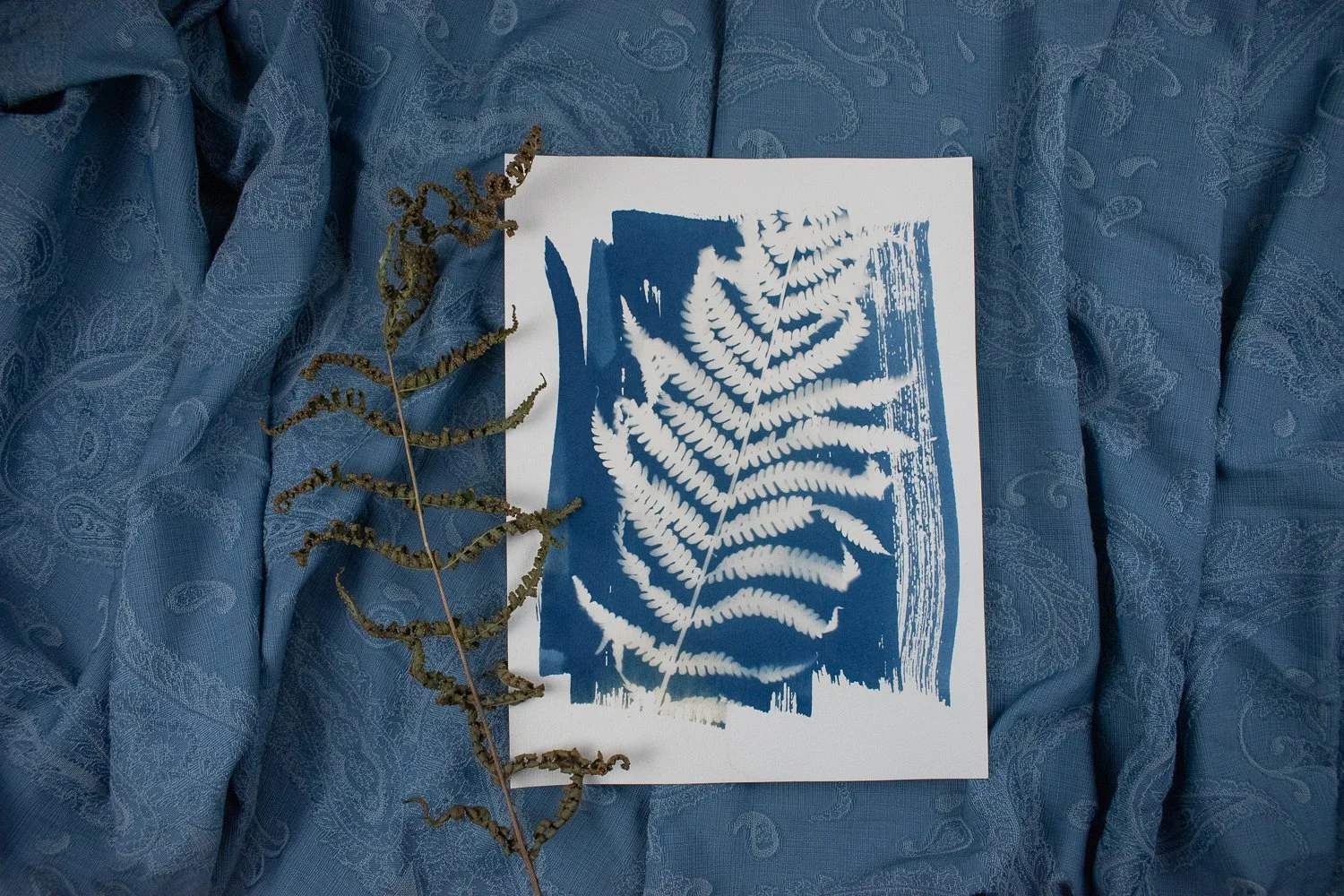 Original Art and Art Prints by Jackie Partridge — Jackie Partridge