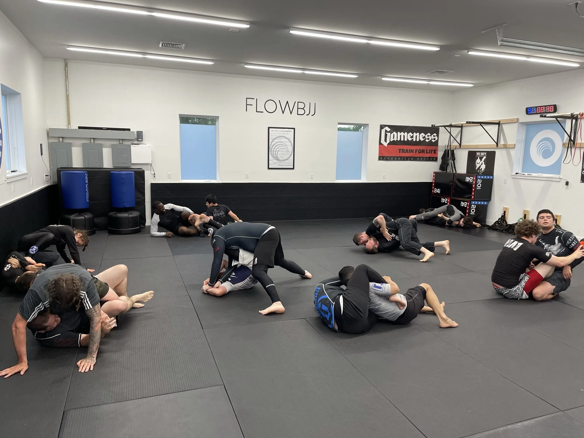 Flow Brazilian Jiu-Jitsu