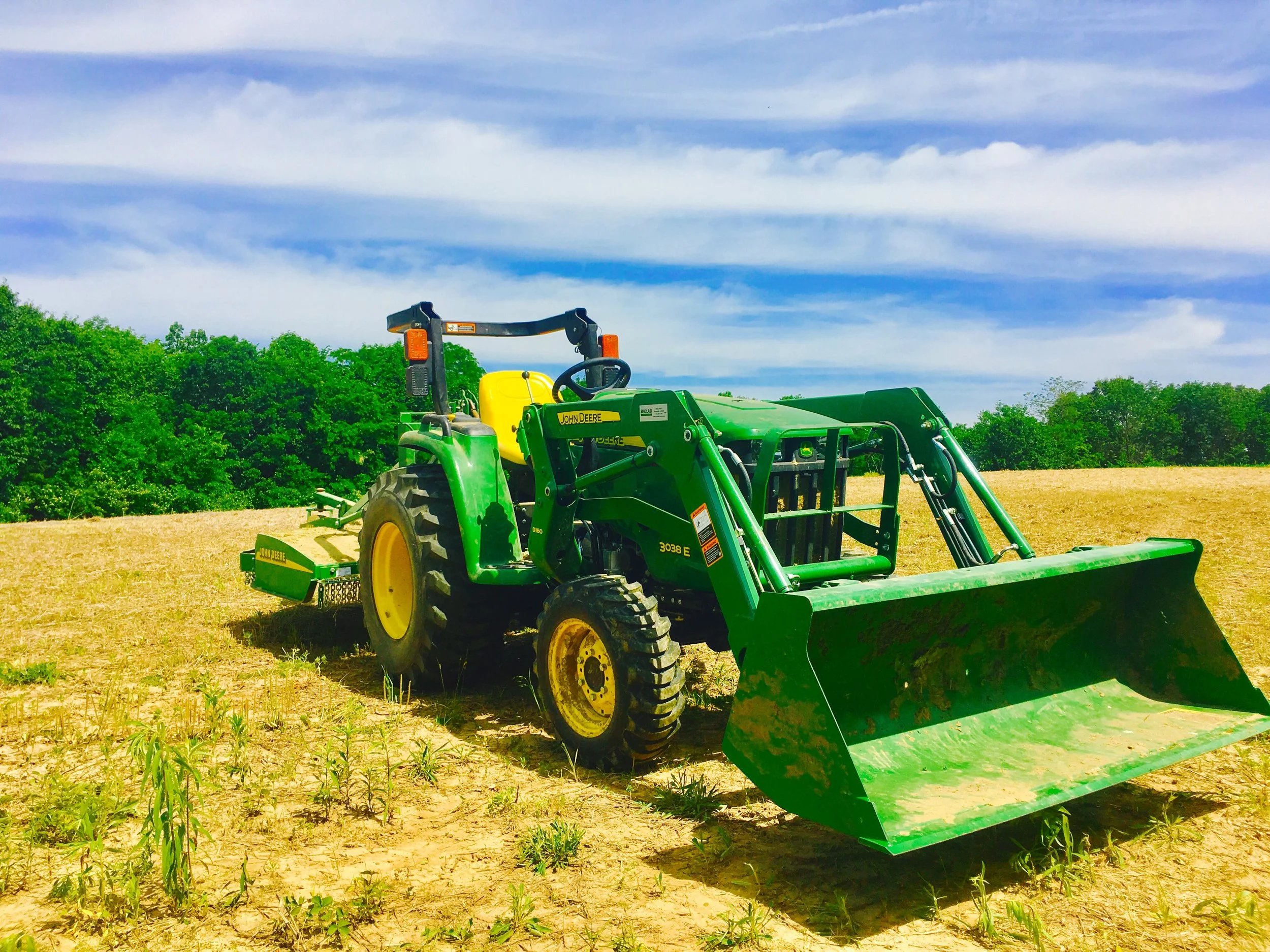 Clover Vs Weeds: Your Playbook to Winning the Battle — The Process Outdoors