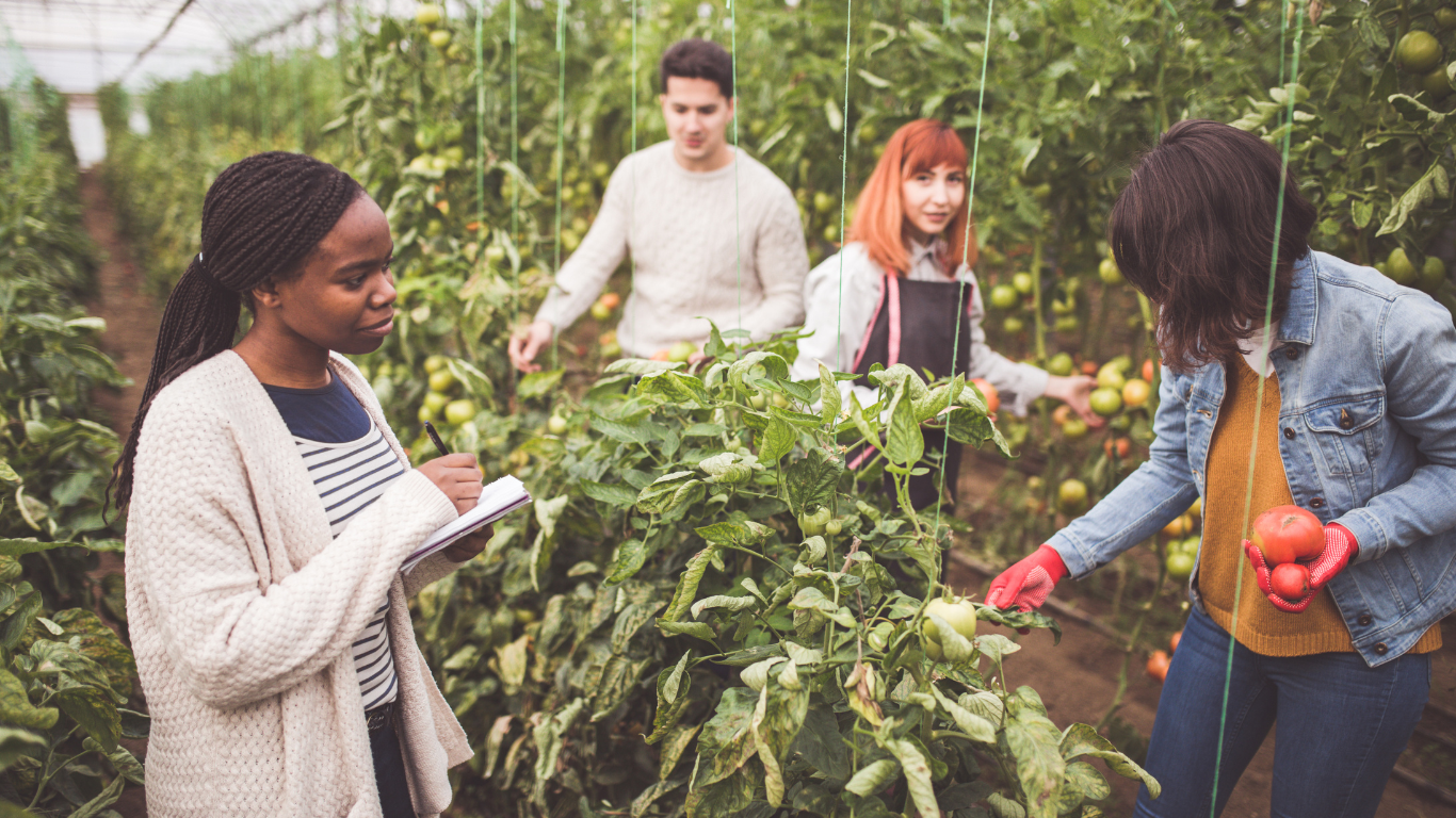 Fresh Food Academy — RG Foods Inc.