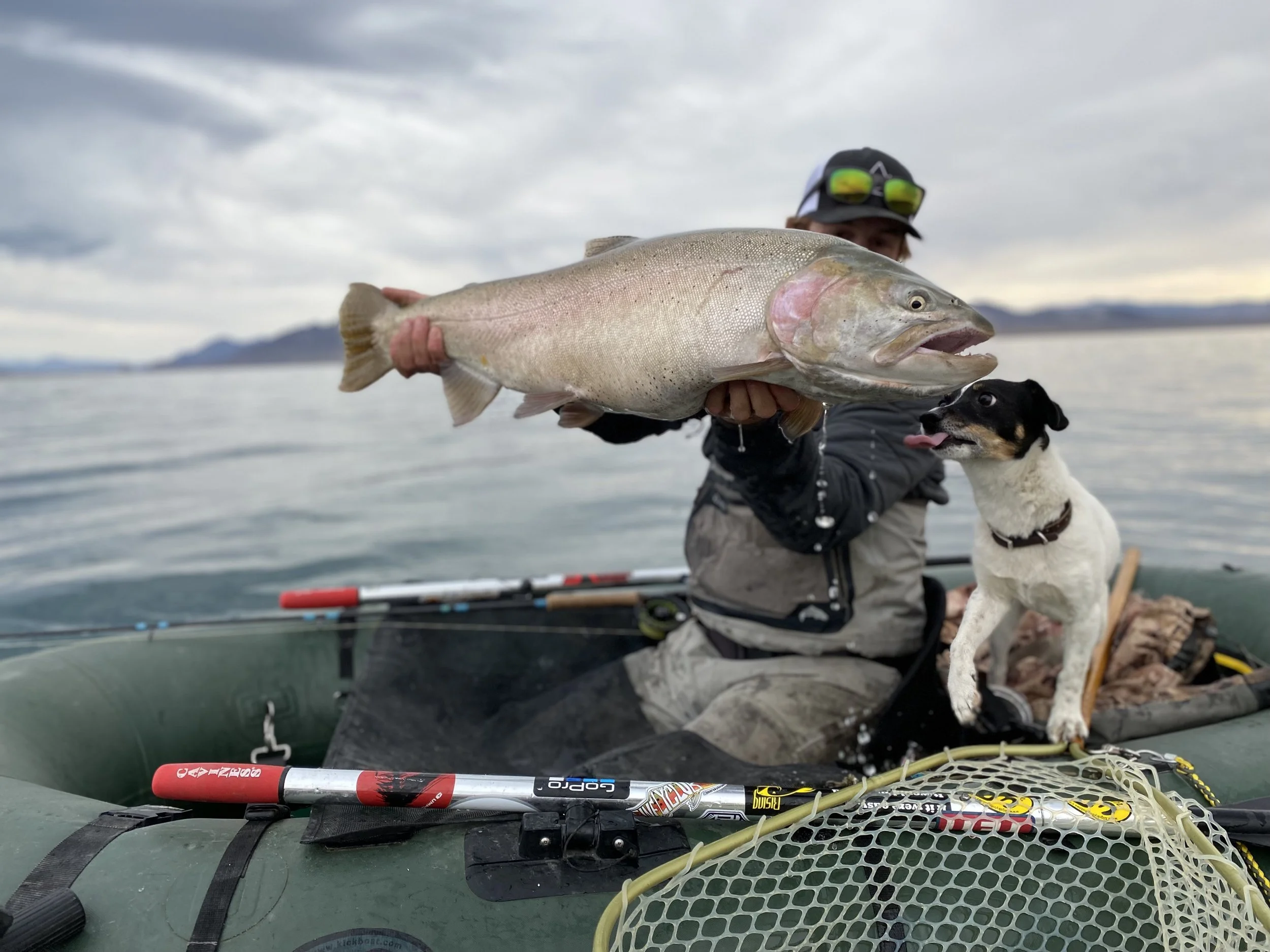 About Pyramid Lake | Pyramid Fly Co. - Premier Fly Fishing Guide ...