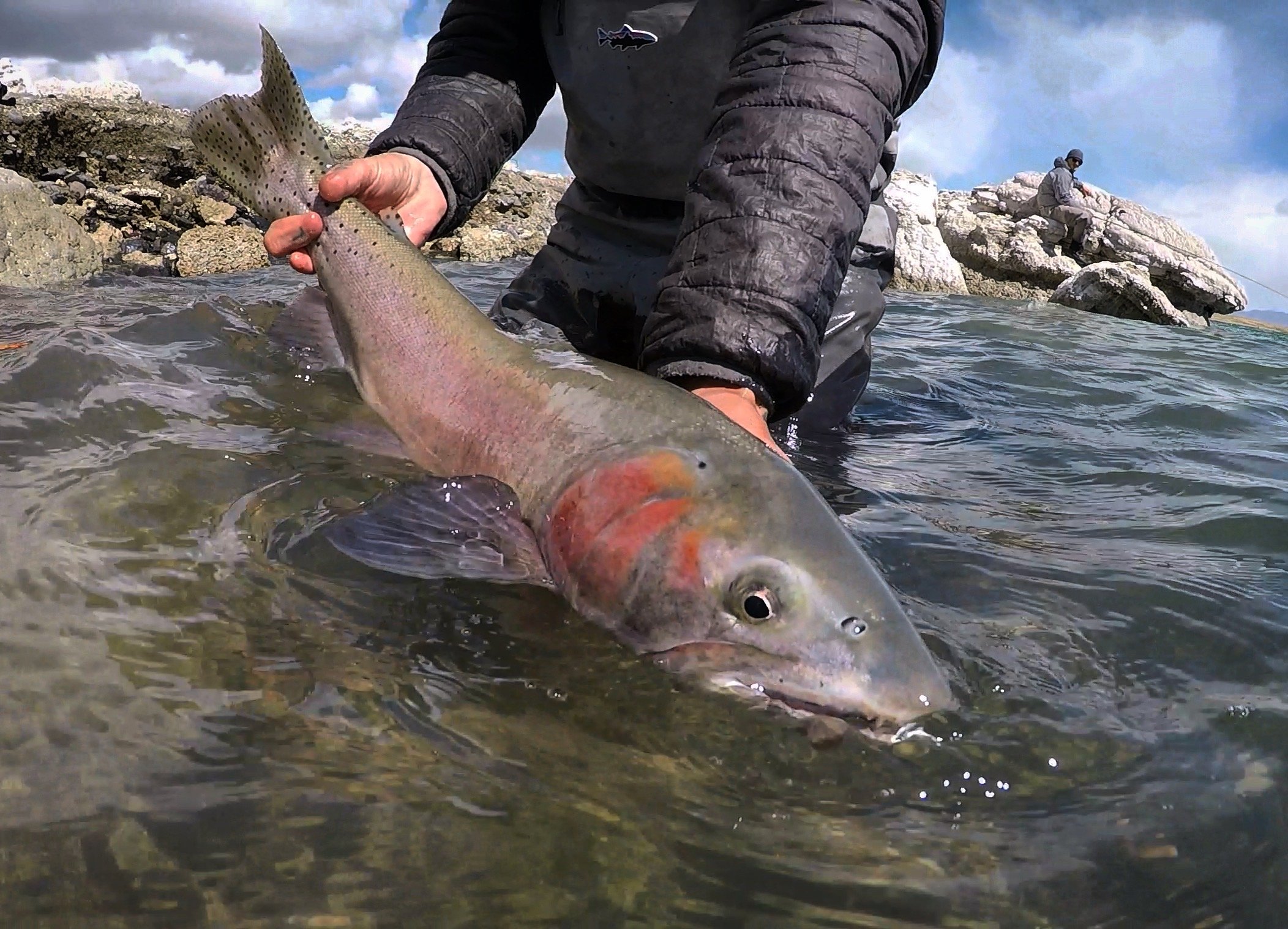 About Pyramid Lake | Pyramid Fly Co. - Premier Fly Fishing Guide ...