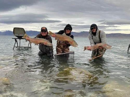 Pyramid Lake Fishing Reports | Pyramid Fly Co - Premier Fly Fishing ...