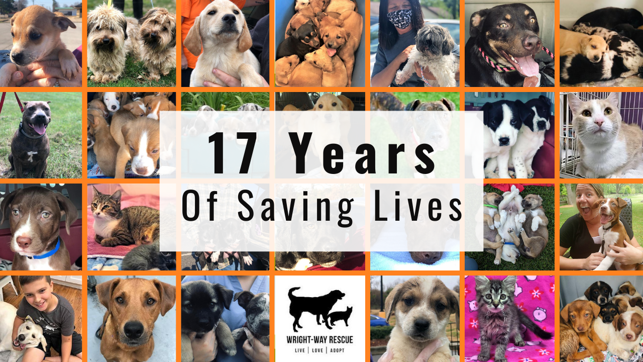 Our Mission — Wright-Way Rescue