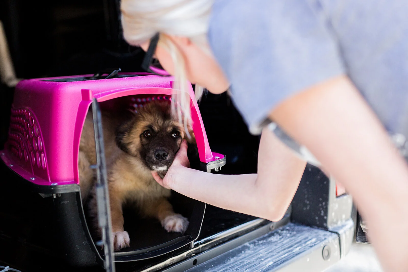 Our Mission — Wright-Way Rescue