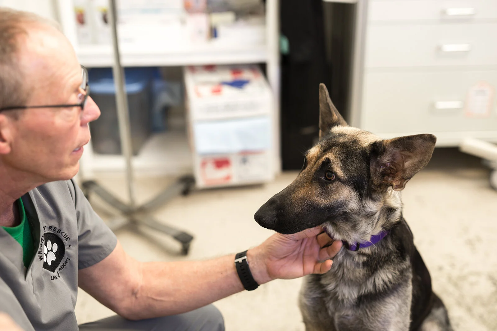 Donate — Wright-Way Rescue