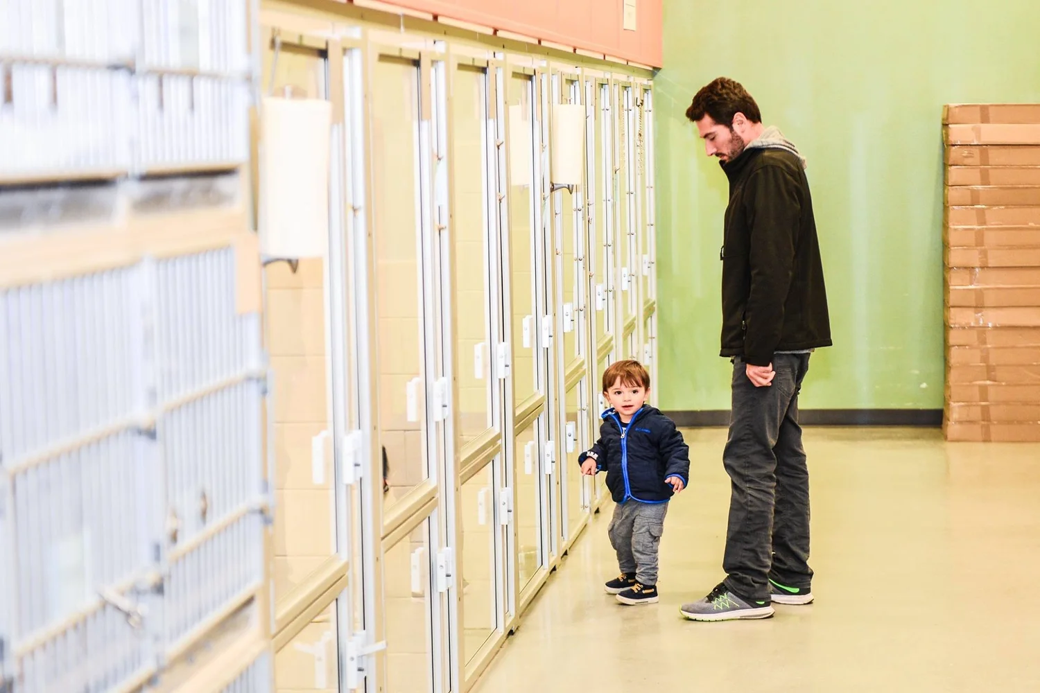 Adoption Program and Process — Wright-Way Rescue