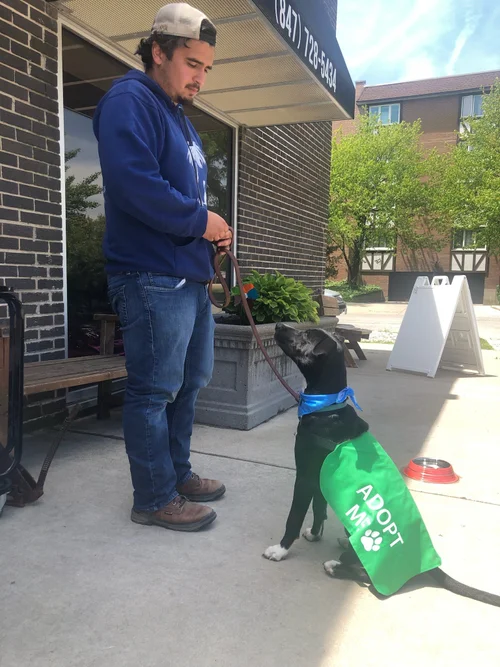 Adoptable Pets — Wright-Way Rescue